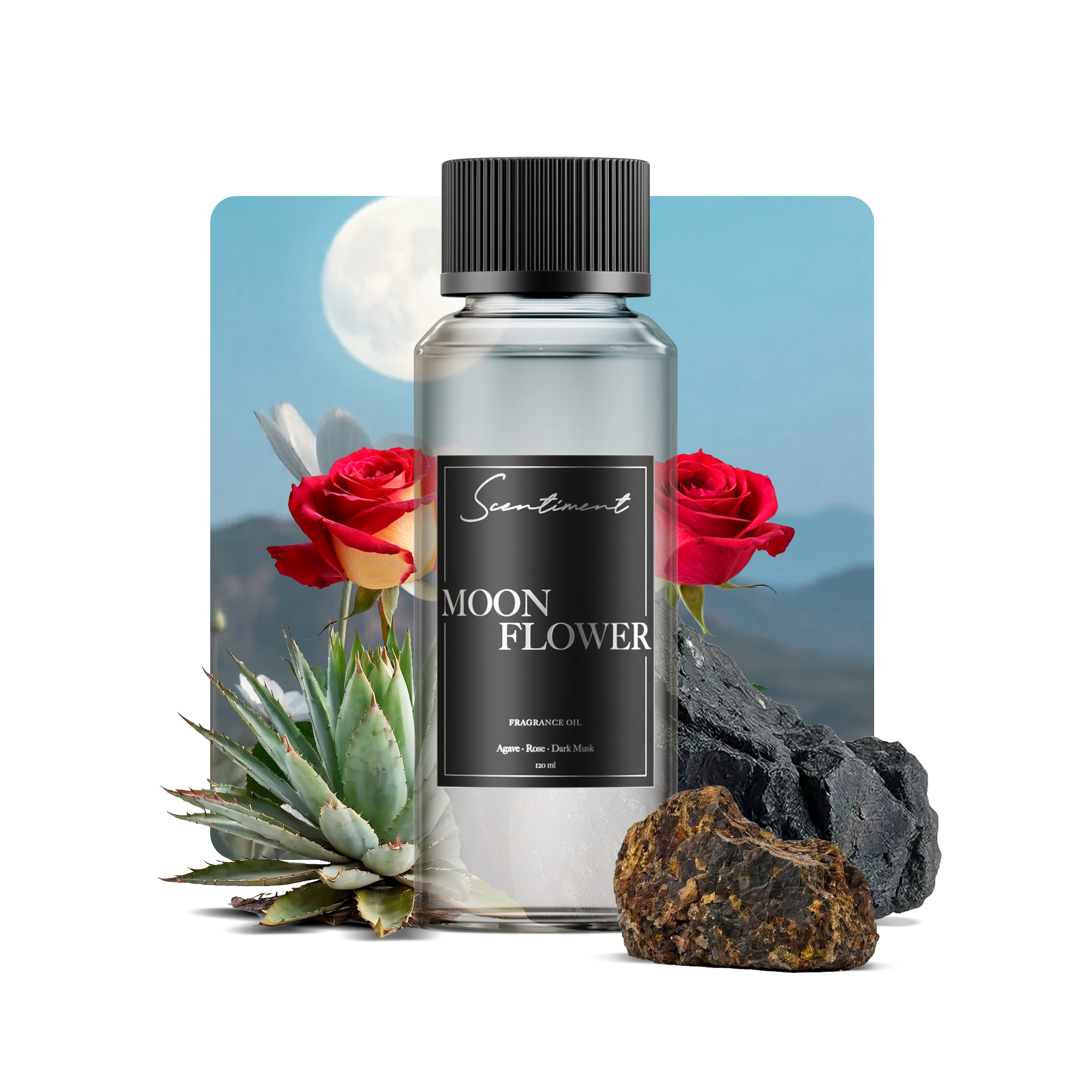 Moon Flower Fragrance Oil – Scentiment