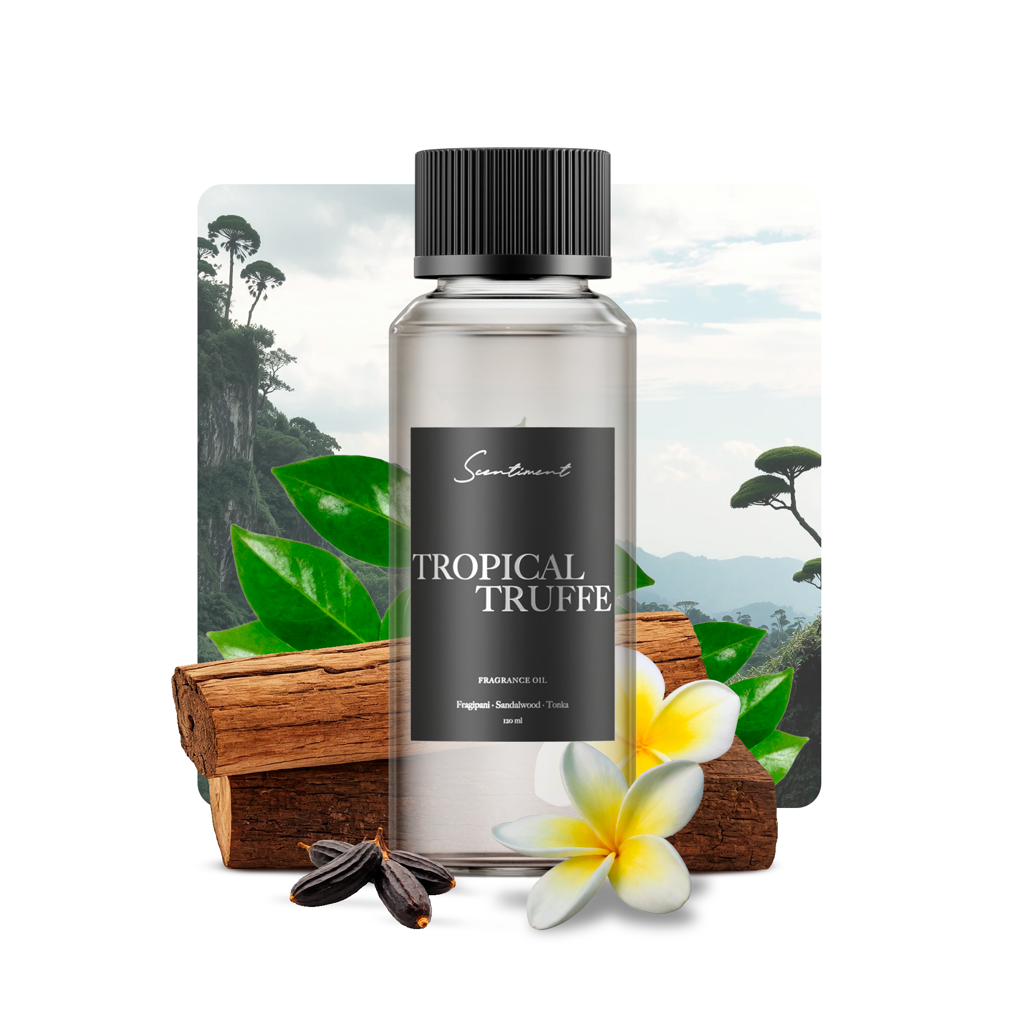 Tropical Truffe Fragrance Oil Inspired by the iconic Raffles® Singapore ...