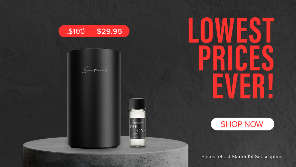 Diffuser Mini With Luxury 5-Star Hotel Scents Kit for Home & Car ...