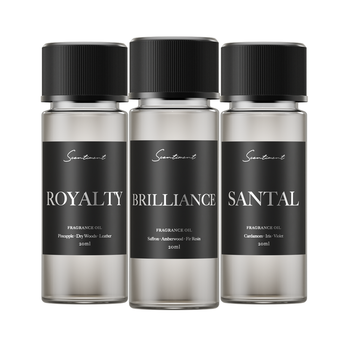 Top 10 Scent Diffuser Blends for a Relaxing Atmosphere – Scentiment