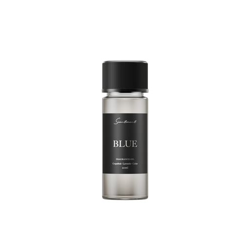 Blue Fragrance Oil Inspired by Bleu de Chanel Perfume Scent – Scentiment