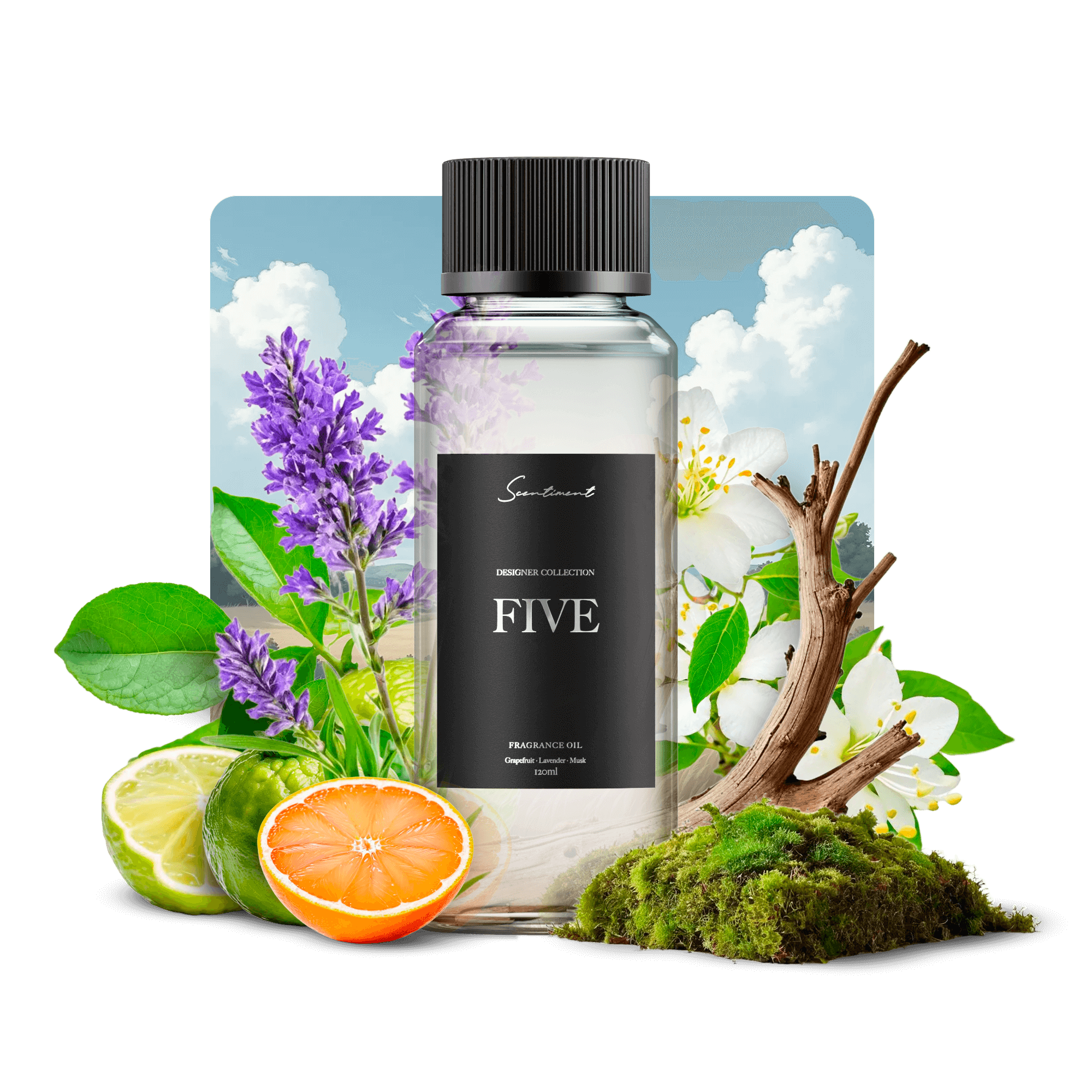 Five Fragrance Oil Inspired by CHANEL® N°5 Perfume Scent – Scentiment