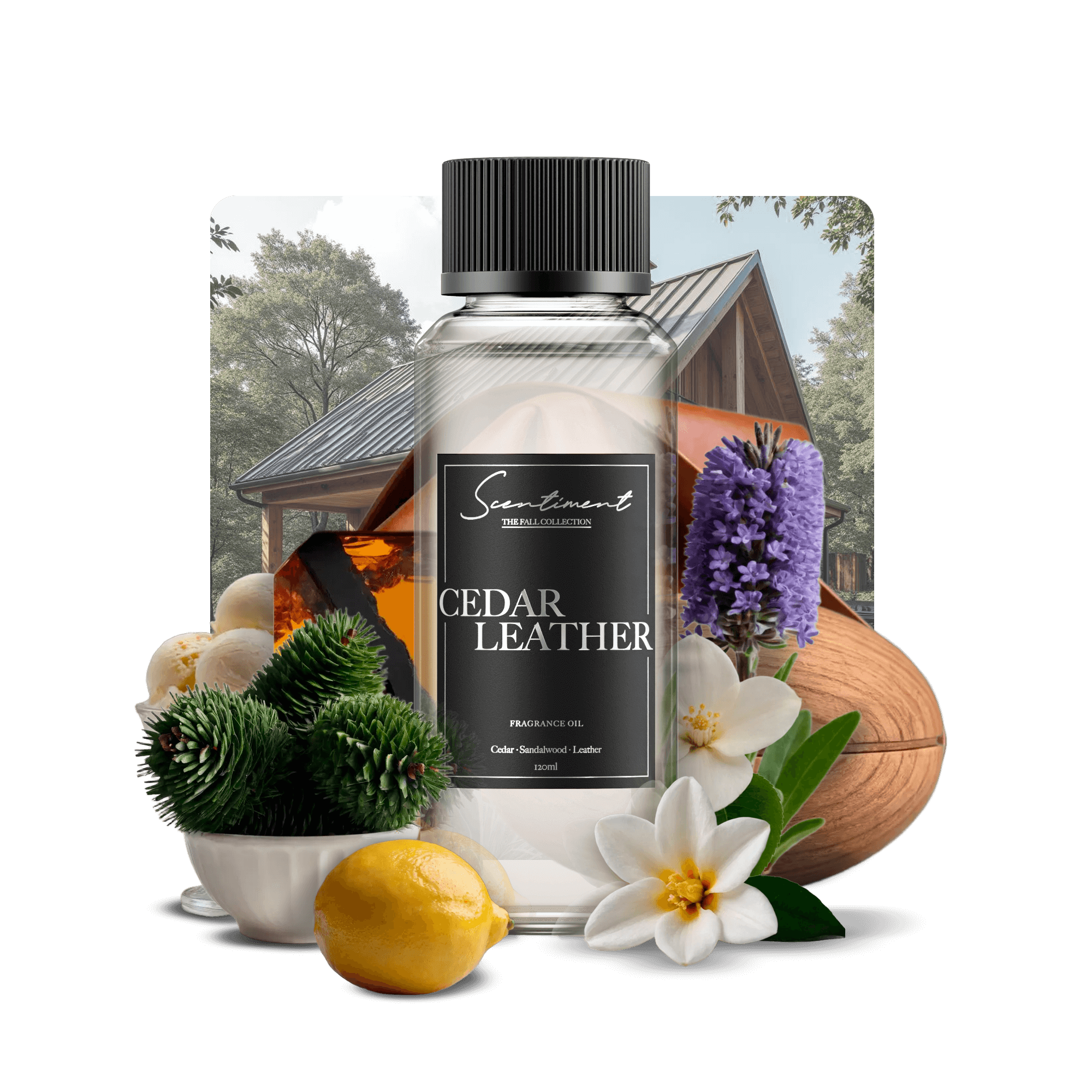 Cedar Leather Fragrance Oil Fall Collection Scents – Scentiment