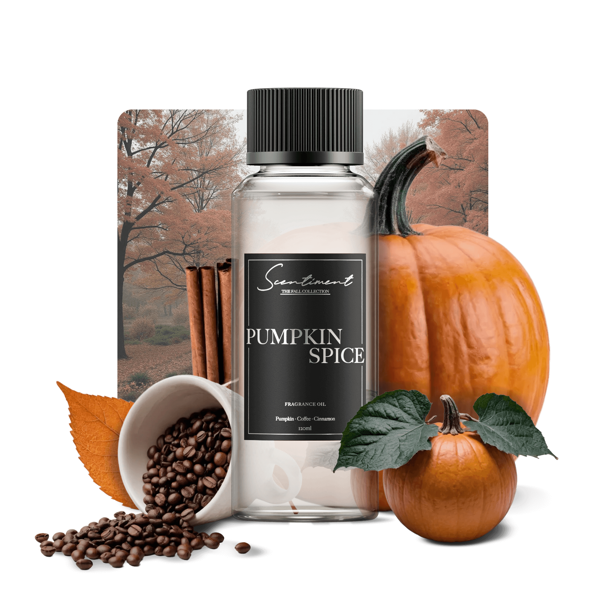 Pumpkin Spice Fragrance Oil Fall Scents Collection – Scentiment