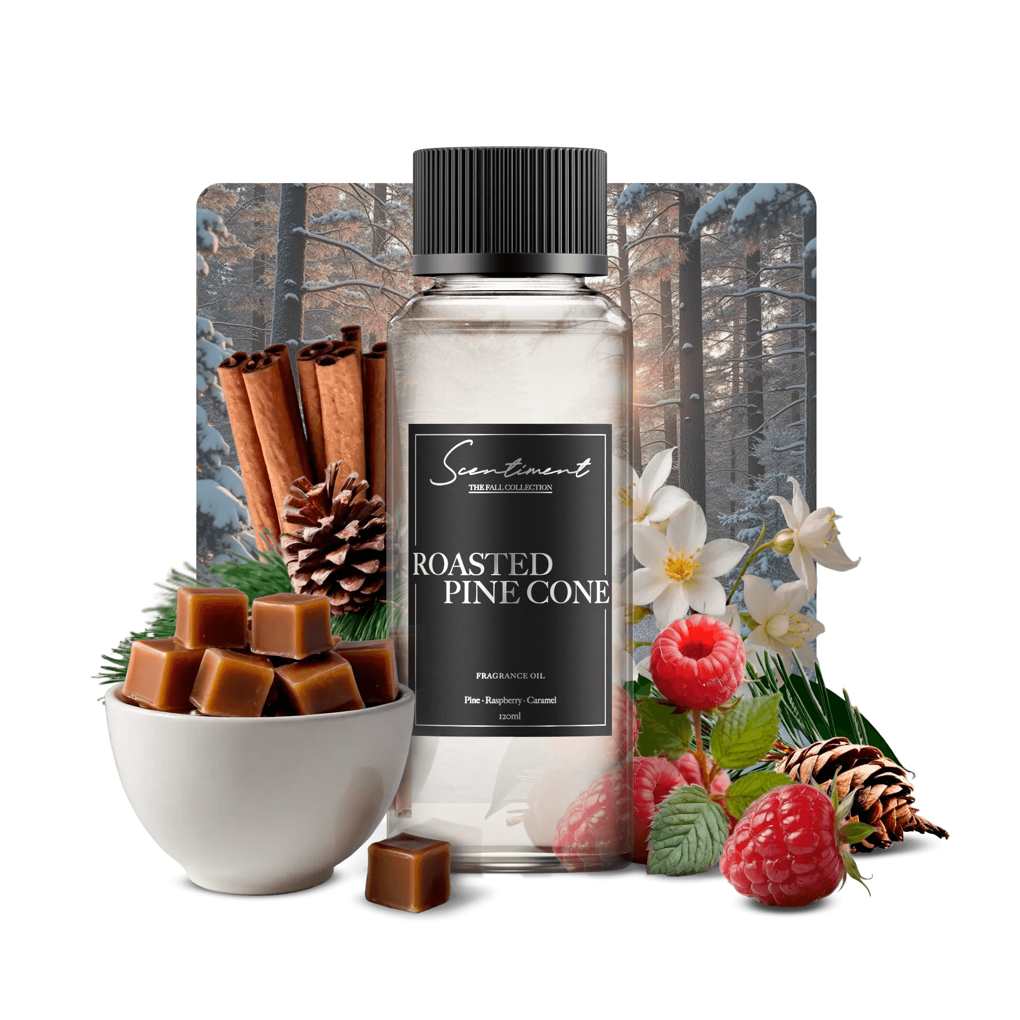 Roasted Pine Cone Fragrance Oil Fall Scent Collection – Scentiment