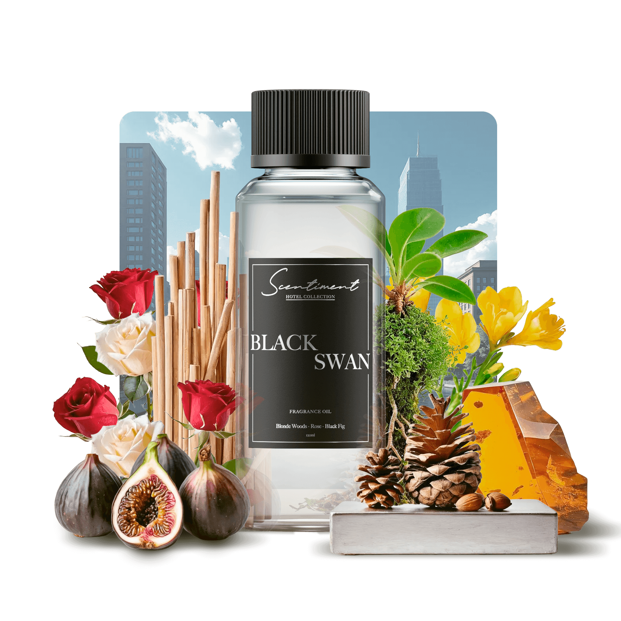Black Swan Fragrance Oil Inspired by The EDITION® Hotel Scent – Scentiment
