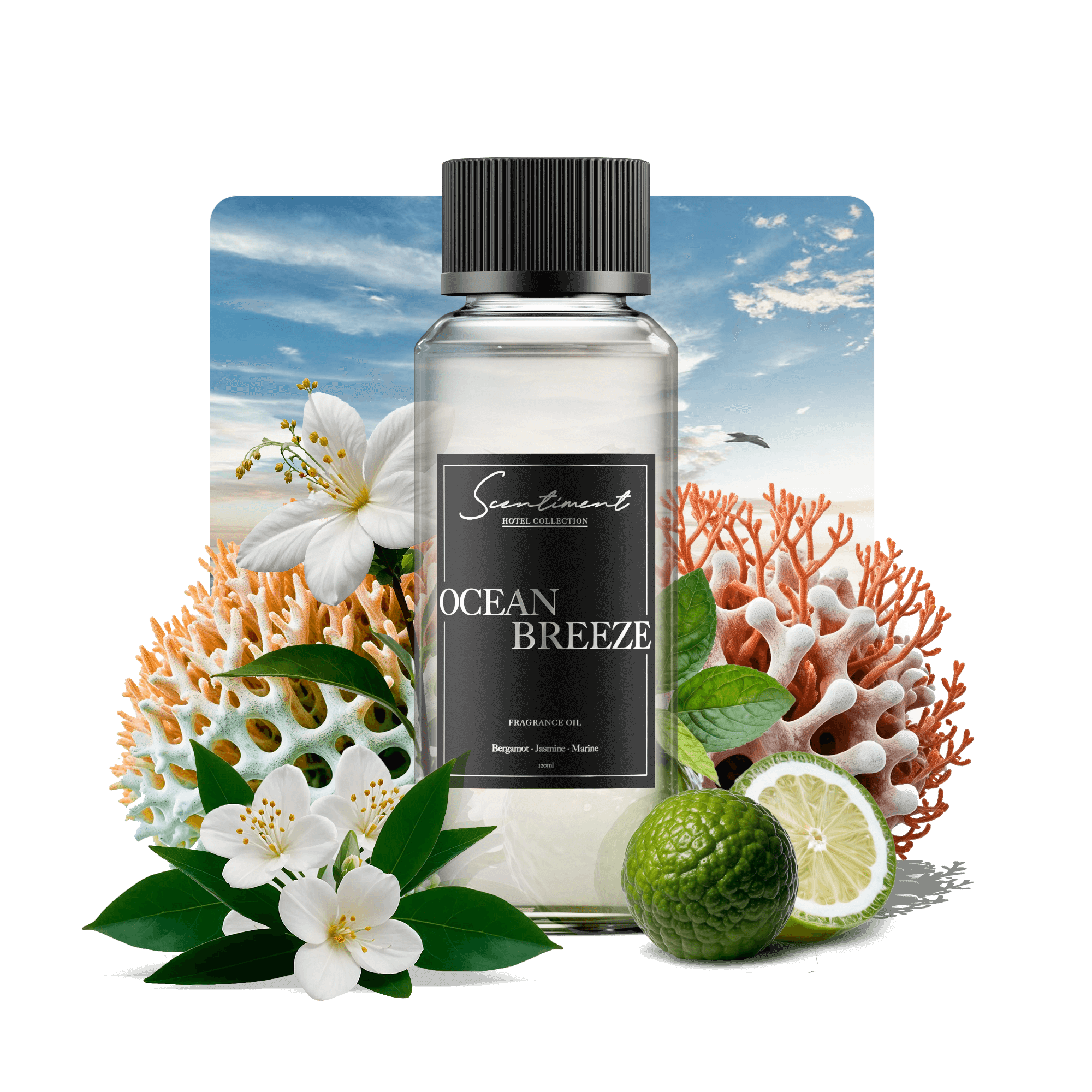 Ritz-Carlton® Inspired Hotel Scent Ocean Breeze Fragrance Diffuser Oil ...