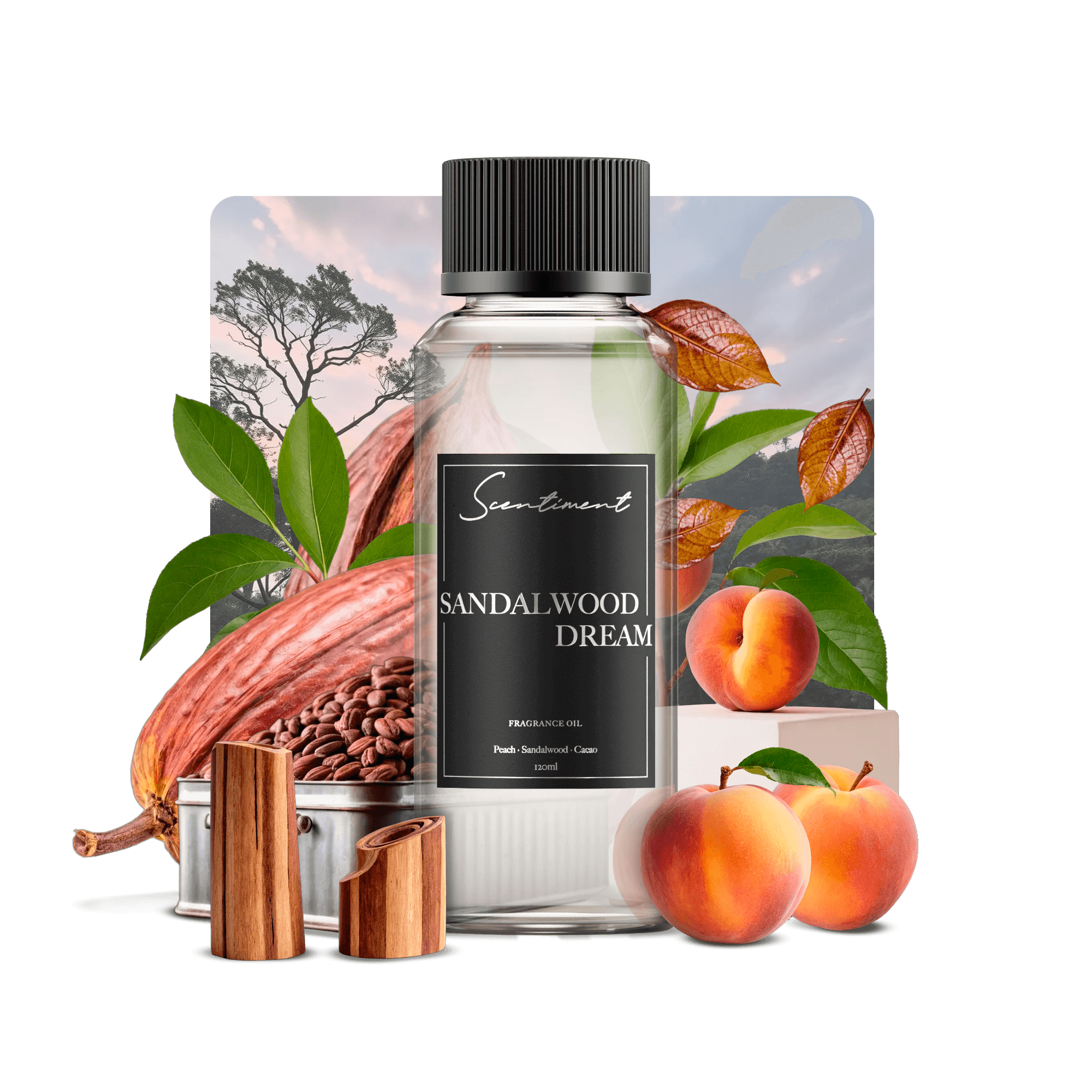 Sandalwood Dream Fragrance Oil – Scentiment