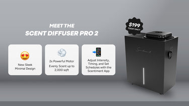 Scent Diffuser Starter Kit With Luxury Hotel Scents at Home – Scentiment