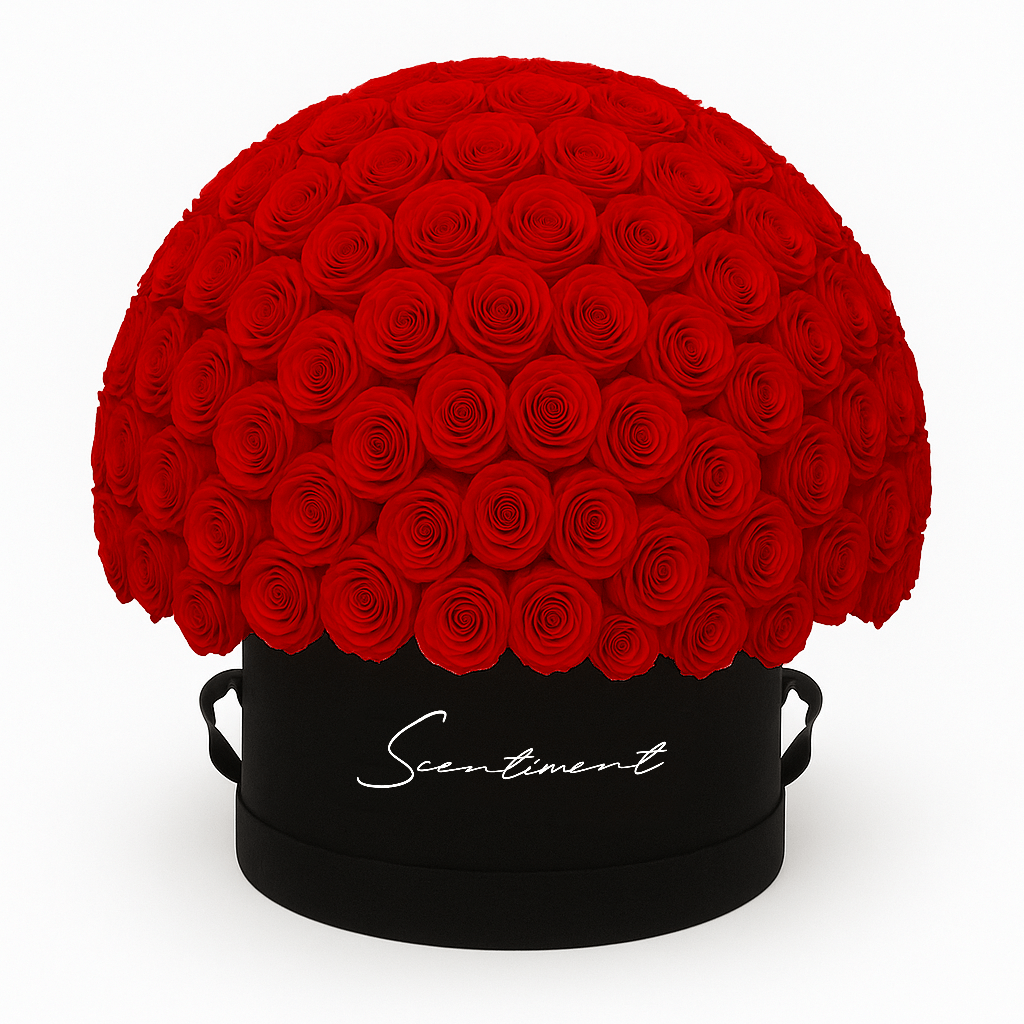 Preserved Eternal Roses in Suede Large Round Floral Box – Scentiment