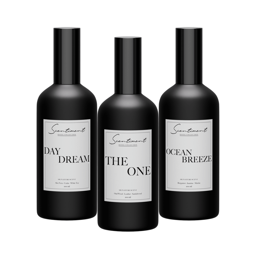 Scent Diffuser With 5-Star Hotel Scents Discovery Kit for Home & Car ...