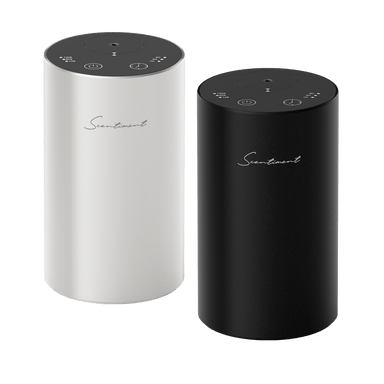 Scent Diffuser Starter Kit With Luxury Hotel Scents at Home – Scentiment