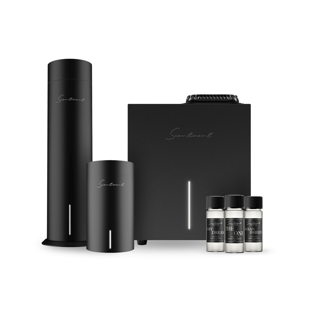 Diffuser Mini With Luxury 5-Star Hotel Scents Kit for Home & Car ...