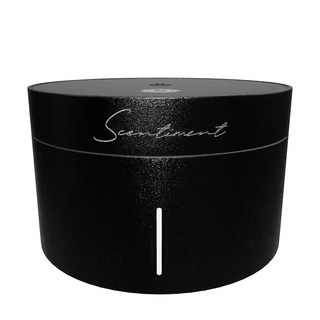 Car Diffuser – Scentiment